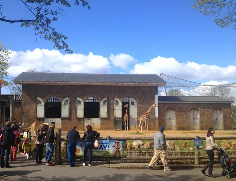 5 Essential Camden Town Tips, Written By A London Local