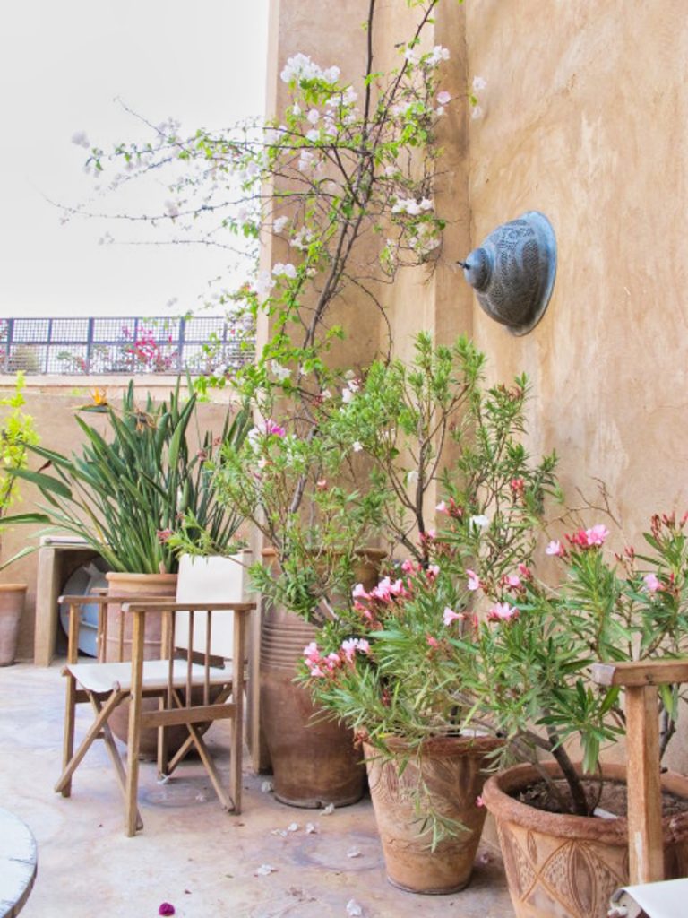 5 Must Do Activities In Morocco For First Timers: My Marrakech Itinerary