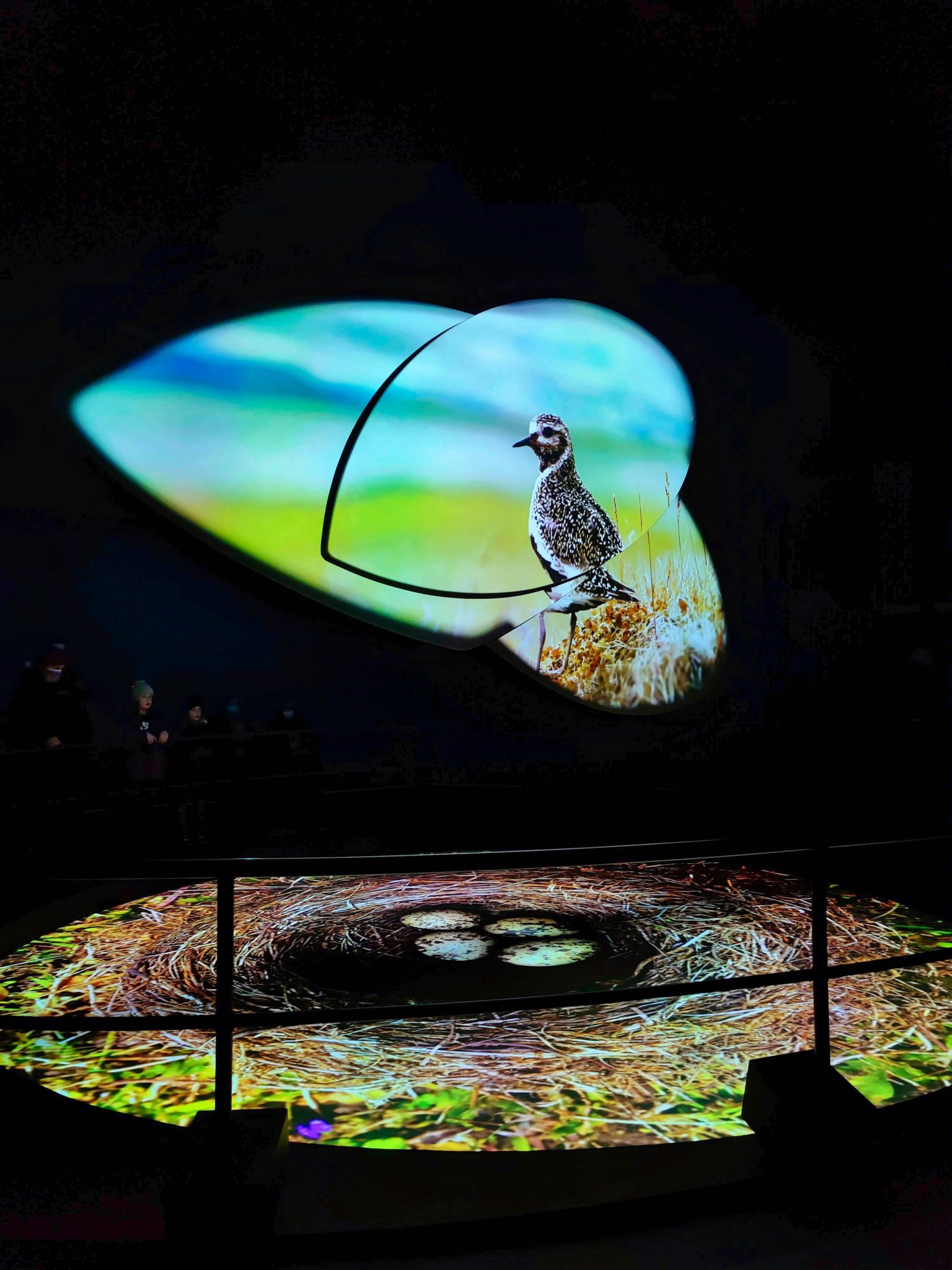 FlyOver Iceland Review & The Rules Of Icelandic Flight Club