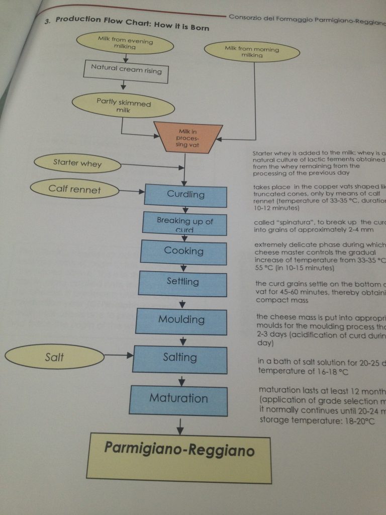 The Cheesiest Blog Post I've Ever Written - My Parmesan Factory Tour ...